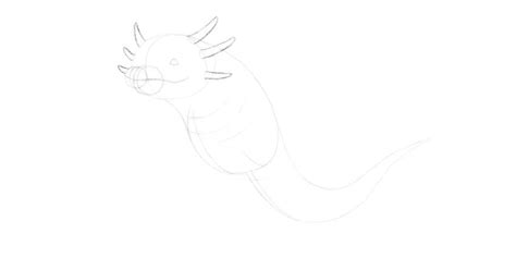 How To Draw An Axolotl Envato Tuts