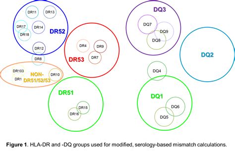 An Hla Class Ii Matching Strategy That Predicts De Novo Donor Specific