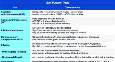 Liver Function Tests Google Com Download Scientific Diagram