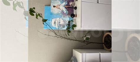 Лимонное дерево купить в Краснодаре Товары для дома и дачи Авито