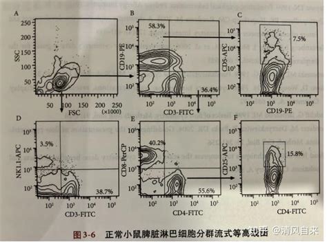 流式细胞术原理、分析及应用整理——（三） 知乎
