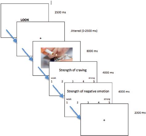 Scanning Task Design Schematic Illustration Of A Single Trial Each