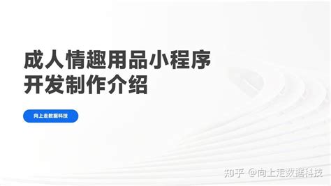 成人情趣用品小程序开发制作介绍 知乎