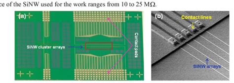 a optical image of sinw array sensor chip b sem image of one