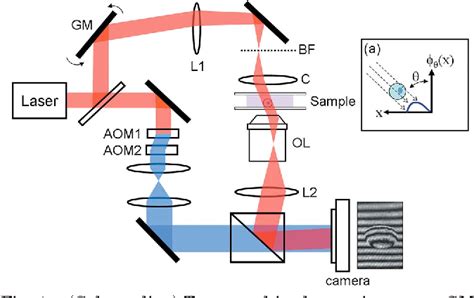 Figure 1 From Extended Depth Of Focus In Tomographic Phase Microscopy Using A Propagation