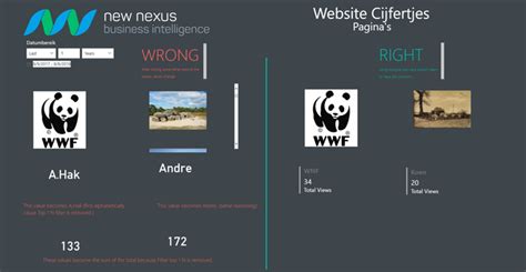 Visual Level Filter Disappears In Published Report Microsoft Fabric