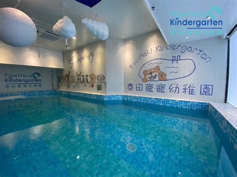 Puzzle N Toys 砌圖 ‧ 拼圖專門網店 最新上架🍀 如夢如幻的千與場尋場景； 同場加映可愛的角落生物和柯南。 更多吉卜力款式：