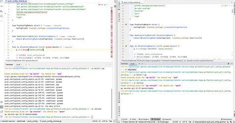 Build Constraints Exclude All The Go Files In Ides Support Intellij Platform Jetbrains