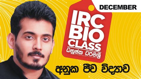 December Month Irc 202320242025 Theorydna ඇඟිලි සලකුණු තාක්ෂණය