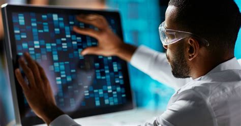 What Is The Career Path Of A Data Scientist Entry Level To Leadership