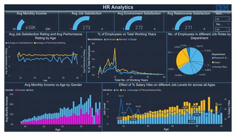 Hranalytics Powerbi Dashboard Raj Vijay Shethna