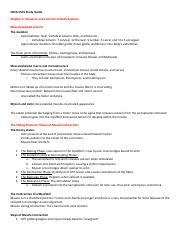 CSCS Study Guide Pdf NSCA CSCS Study Guide Chapter Structure And Function Of Body Systems