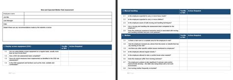 New And Expectant Mother Risk Assessment Checklist Expectant Mother