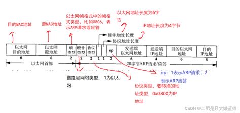 数据链路层：以太网 arp协议