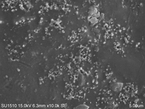 Elanu Karakus On Linkedin Nanomaterials Microscope Electronmicroscopy Nanotechnology