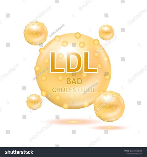 Types Cholesterol Bad Ldl Low Density Stock Vector Royalty Free Shutterstock