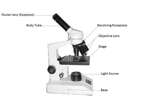 Mrs Conner S Science Place Microscope Parts