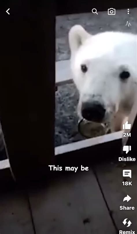 Helping A Bro Out Rhumansbeingbros