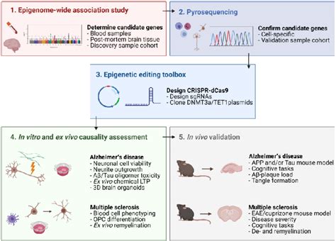proposed workflow to aid in assessing causality of candidate