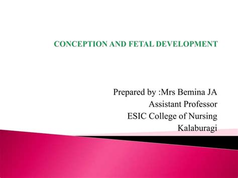 Ppt On Embryological And Fetal Development Pptx