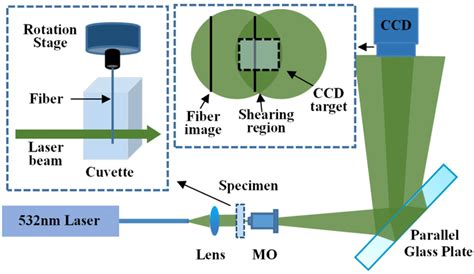 Experimental Setup Of Lateral Shearing Common Path Digital Holographic Download Scientific
