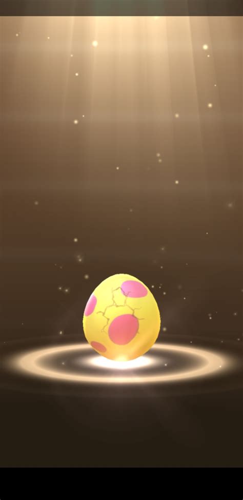 포켓몬고 충남 보령 7km 알에서 부화한 알로라 디그다