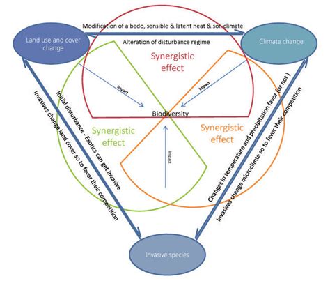 Conceptual Framework Of Synergistic Impacts On Biodiversity From Download Scientific Diagram
