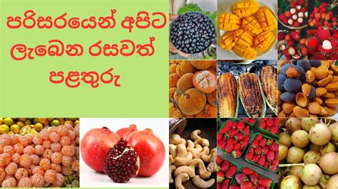 පරිසරයෙන් අපිට ලැබෙන රසවත් පළතුරු Youtube
