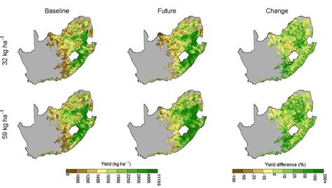 Dssat Simulated Maize Yields Run Under The 32 Top Row And 59 Kg Ha −