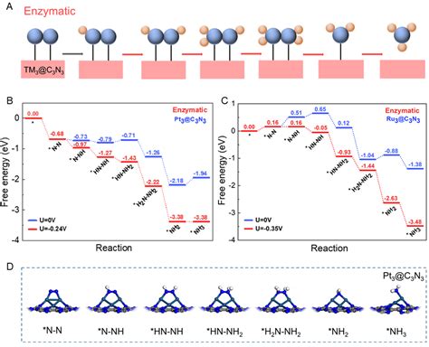 Computational Design Of Spatially Confined Triatomic Catalysts For
