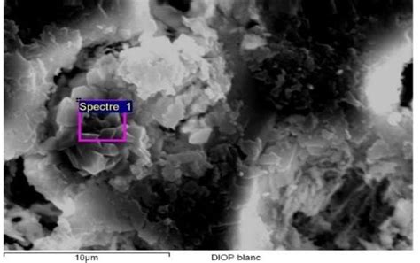 SEM Picture Of Component Of Mud Download Scientific Diagram