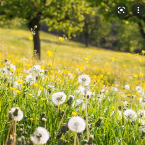 Caitlin Davidson Youtube