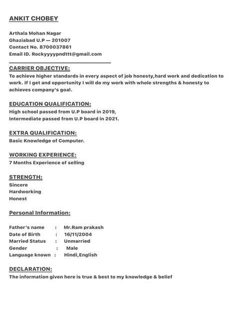 Ankit Resume Pdf