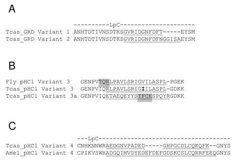 PPT LpC PowerPoint Presentation Free Download ID 4789590