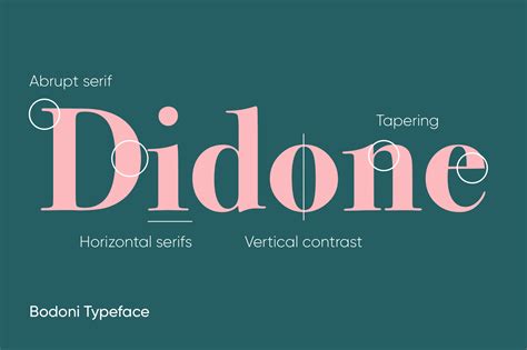 Top 4 Thể Loại Font Chữ Và Cách Dùng Trong Thiết Kế đồ Họa Phần 1