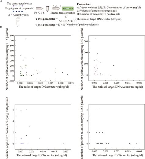 Cloning Efficiencies Of Different Target Sequences Using Tape Method Download Scientific