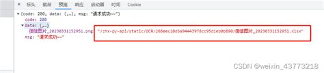 根据后端返回的excel文件路径，直接在页面上解析excel文件canvas Datagrid Csdn博客
