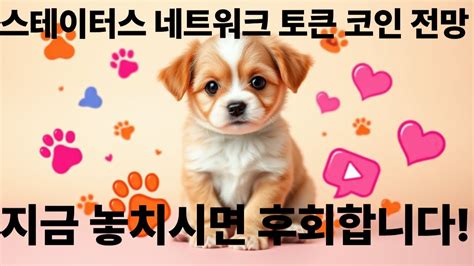 스테이터스 네트워크 토큰 코인 전망 지금 실수하시면 위험해요 영상필독 Youtube