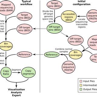 Pdf Cnvkit Genome Wide Copy Number Detection And Visualization From Targeted Dna Sequencing