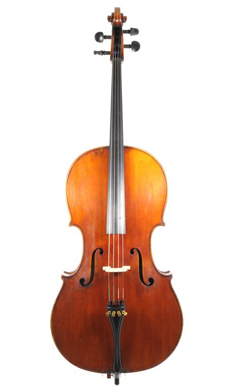 Cello Instrument Information At Holly Standley Blog
