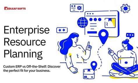 Erp Custom Vs Off The Shelf Solutions Redleaf Softs