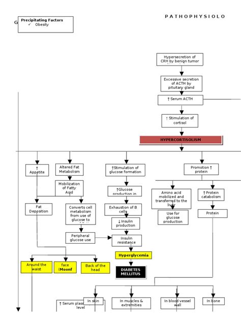 Pathophysiology Cushing S Syndrome