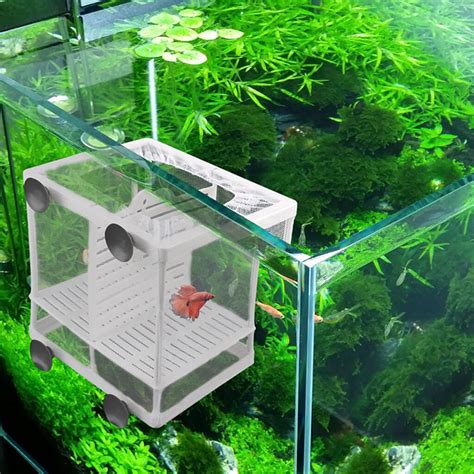 Filet Disolation Pour Aquarium Boîte Dé Grandado