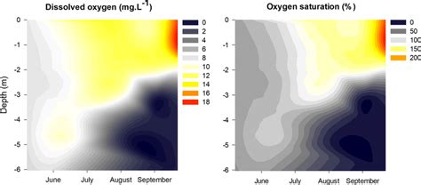 Dissolved Oxygen Concentration And Oxygen Saturation In Depth In Lake