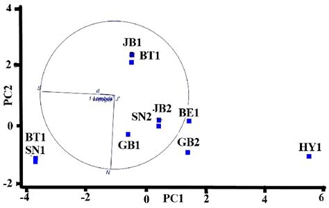 Principal Component Analysis Pca Download Scientific Diagram