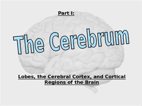 Brain PowerPoint Templates Sample Templates