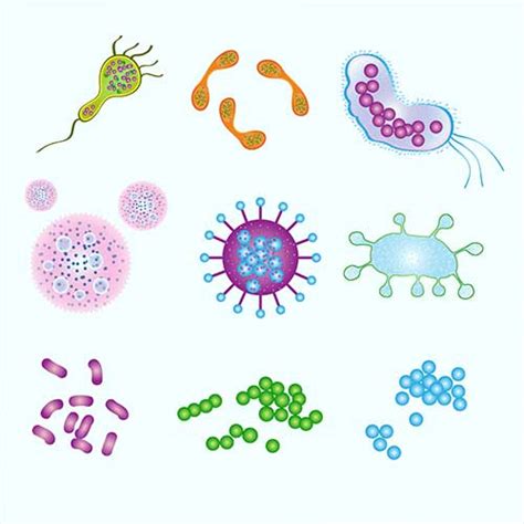 Sexually Transmitted Diseases Clipart Free