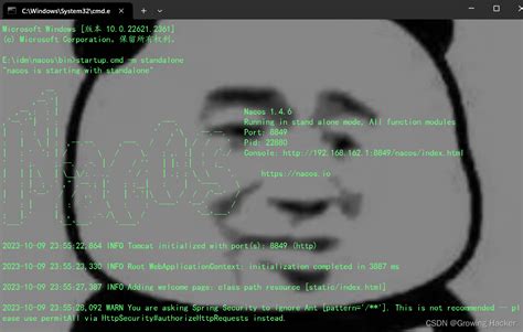 Nacos 小bug application properties配置未生效导致端口未生效