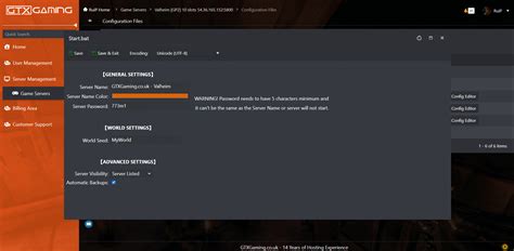Valheim Server Hosting