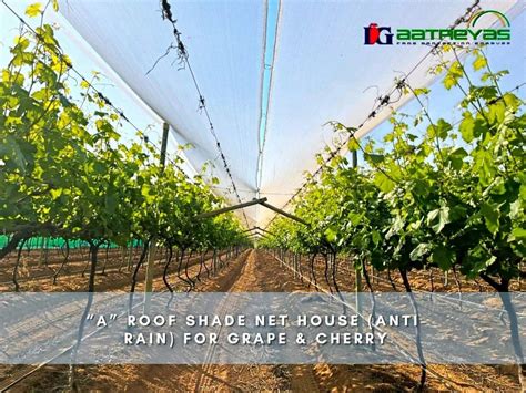 Prefab Shade Net House For Blueberry And Raspberry At ₹ 250square Meter Prefab Shade Net House For Blueberry And Raspberry At ₹ 250square Meter